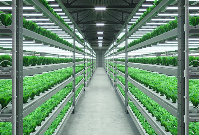 An Experimental Study Reveals Impact of Light Spectrum on Plant Growth ...